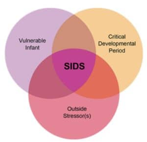 Key Terms and NC Data Trends - Safe Sleep NC