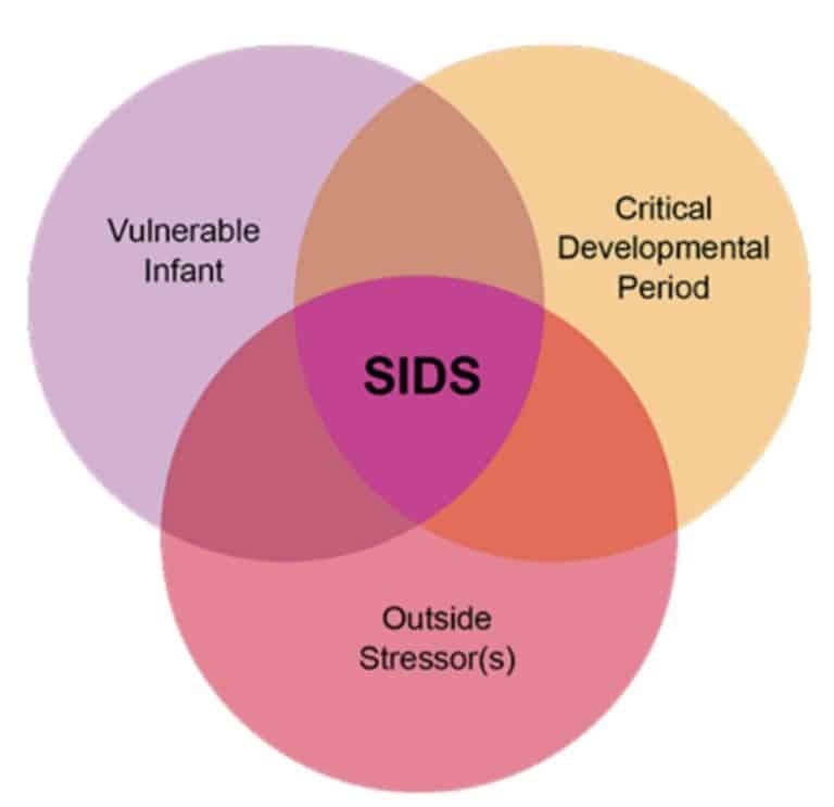 Key Terms and NC Data Trends - Safe Sleep NC